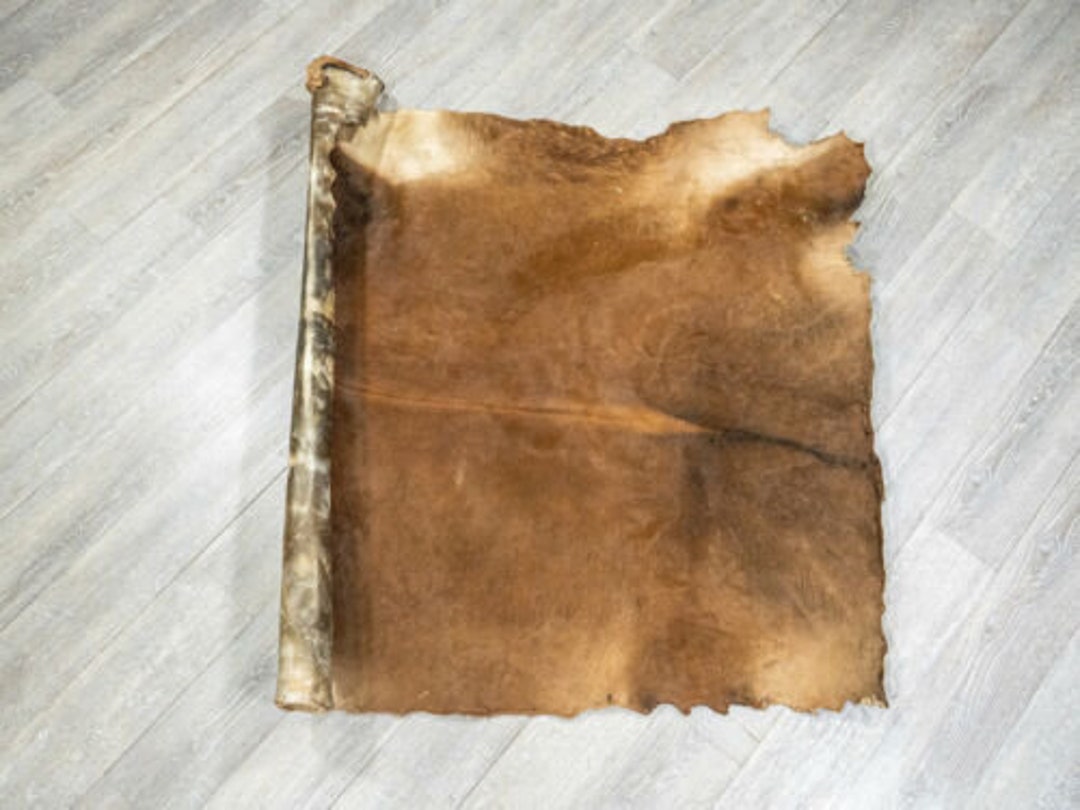 Hair-on Bovine Calf Rawhide Large Piece for Drum Making (55-25-00H ...