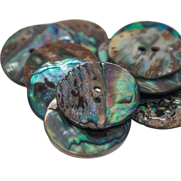 Paua Shell Buttons - Etsy