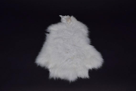 Arctic Snowshoe Hare Skin Pelt Skin Hide 585-SNOW1 8UK13 - Etsy
