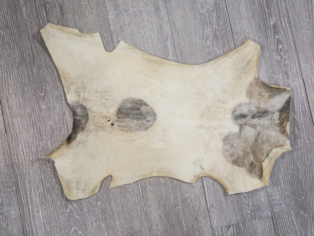Small Goat Rawhide Skin (55-50S-G4725) Y2J - Etsy