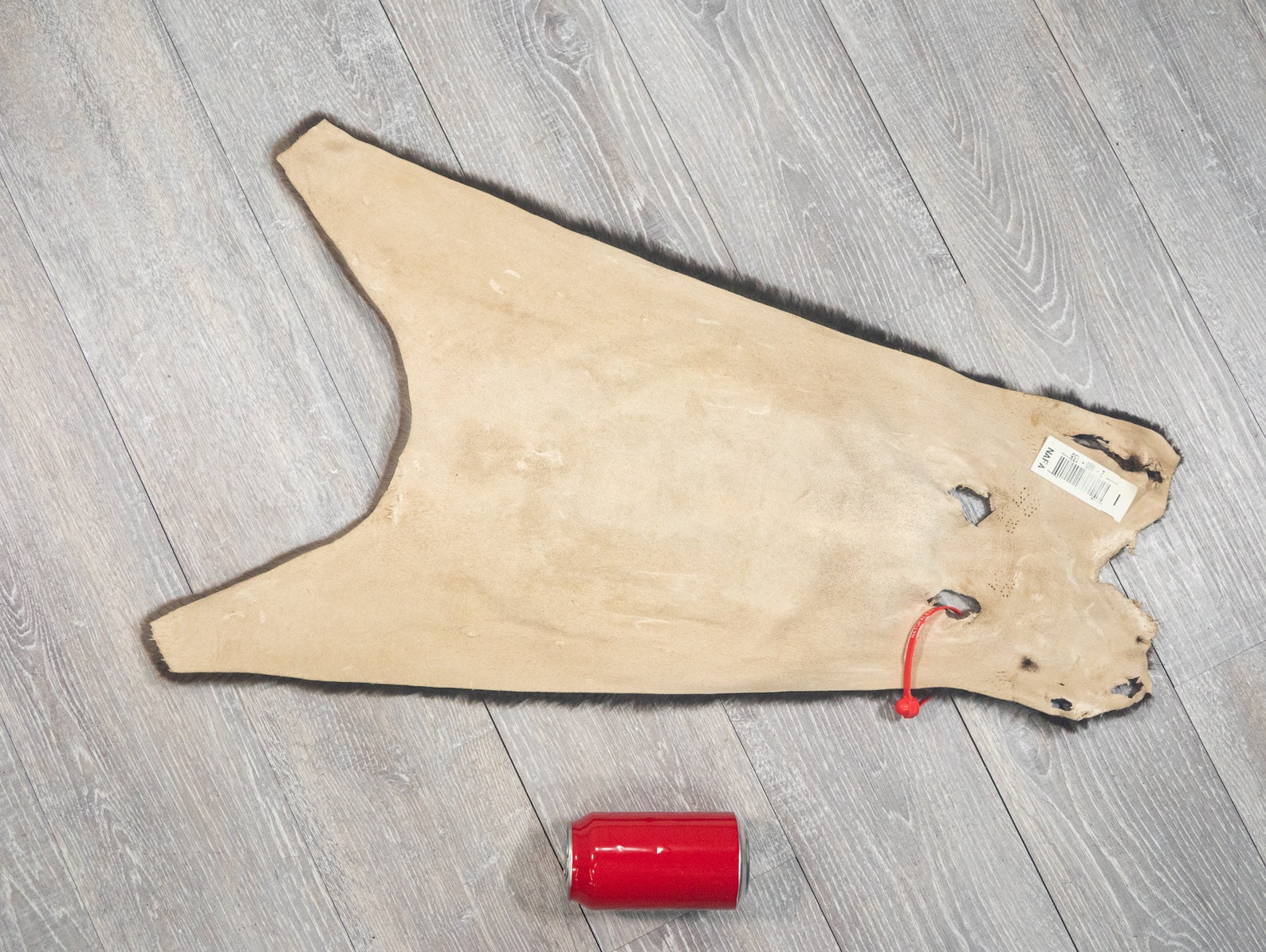 Dyed Sheared Nutria Coypu River Rat Skin 31-G4660 9UZ - Etsy