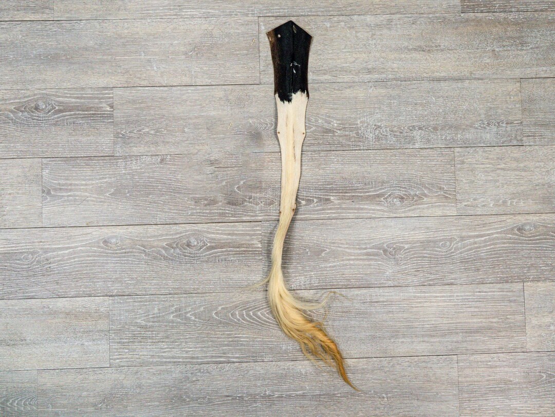 Hungarian Bovine Cow Tail - Professionally Tanned, Soft and Flexible ...