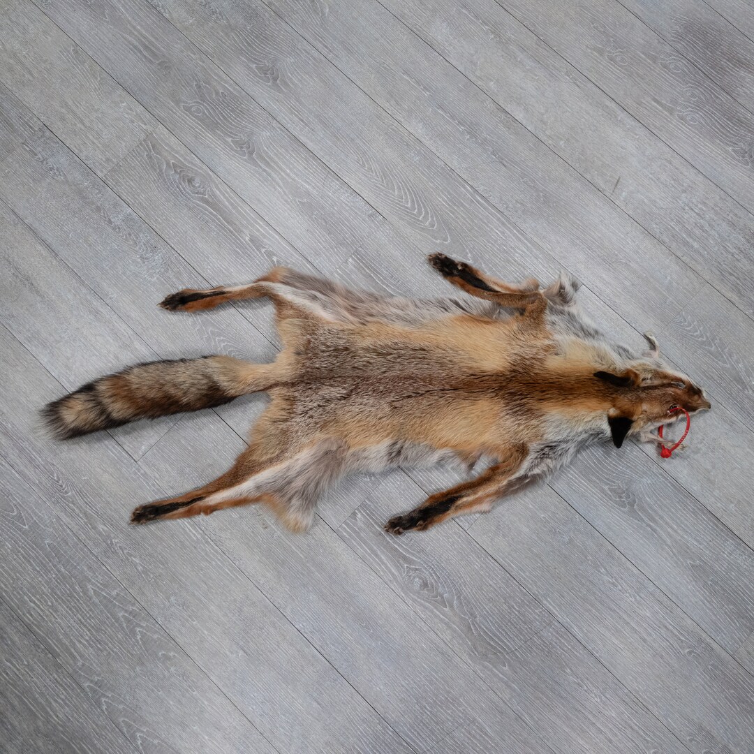 Real Red Fox Skin With Feet (180-03-WF-G2515) Y1K - Etsy