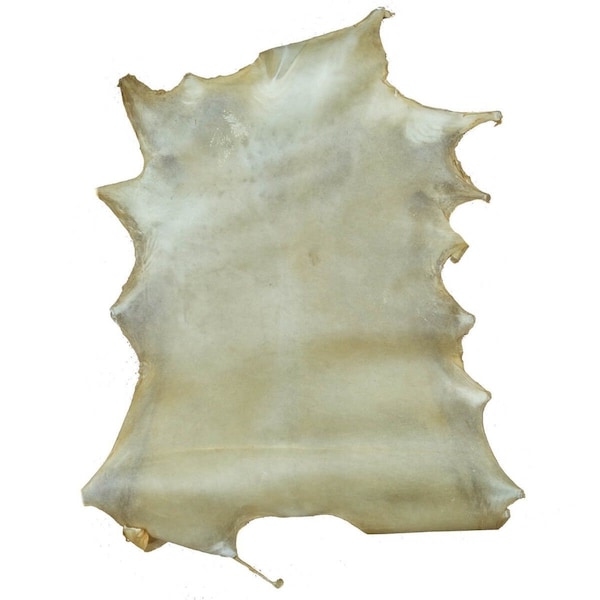 Whitetail Deer Hide - Etsy