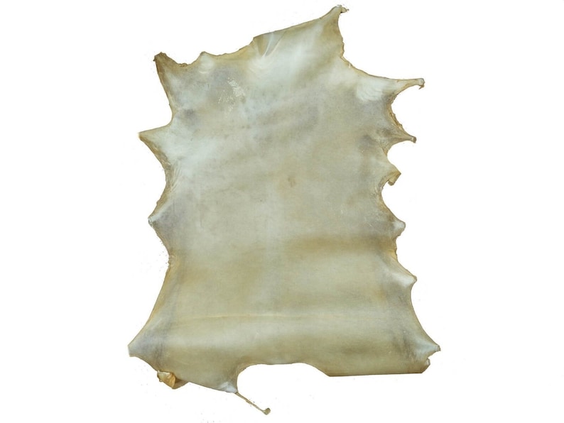 Deer Rawhide: Select Grade (55-40-SELB-AS) - Etsy