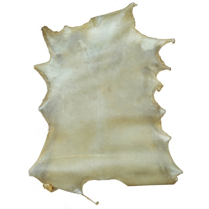 Whitetail Deer Hide - Etsy