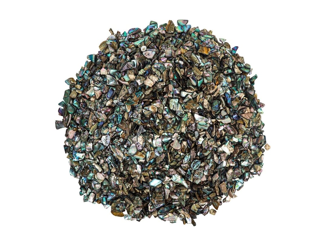 Highly Polished Paua Abalone Shell Pieces: Fine 5-15mm 1-KG Bag (2.2 ...