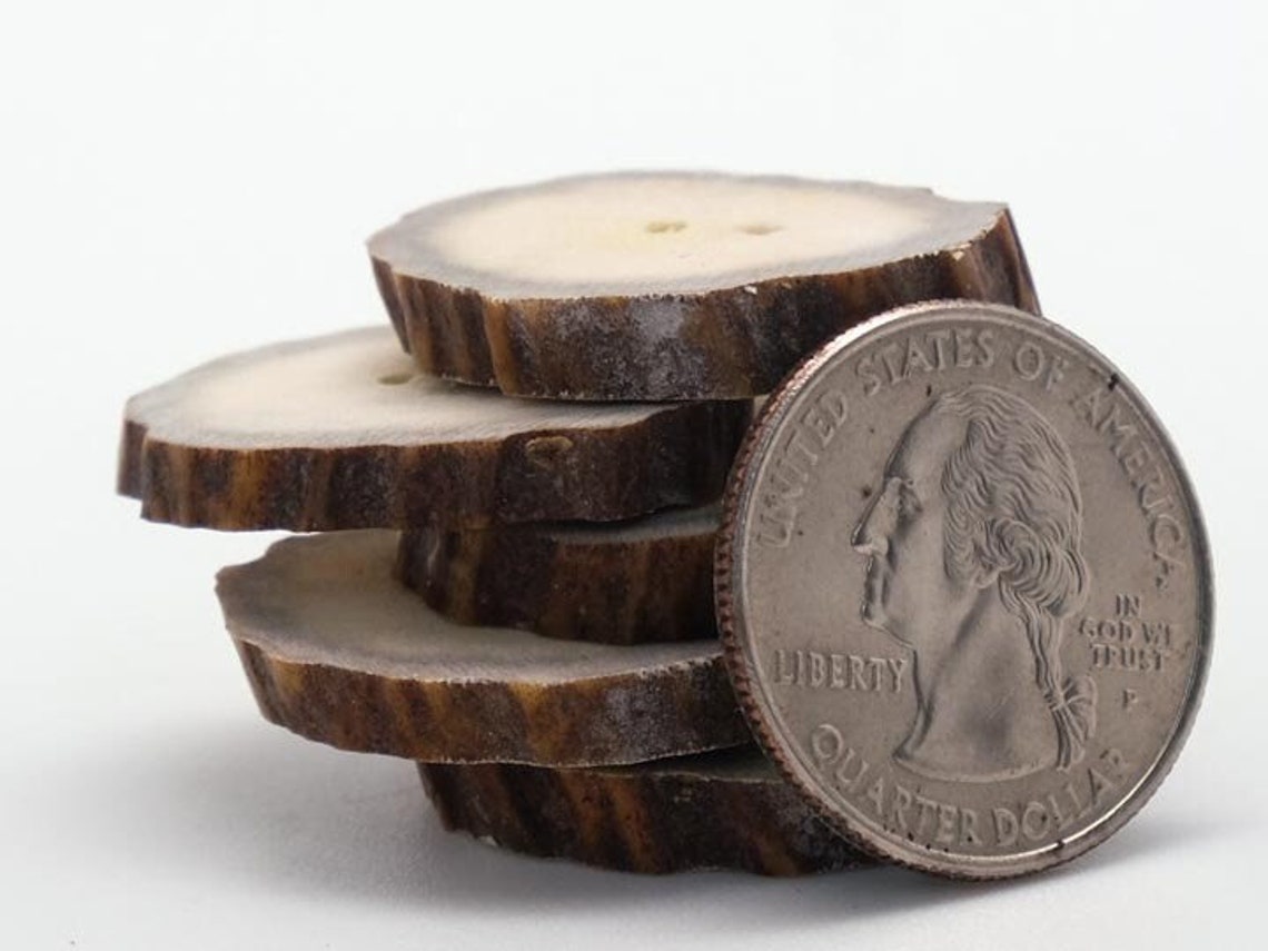 Cross-cut Blind-hole Moose Antler Button: 1.0-1.5 | Etsy