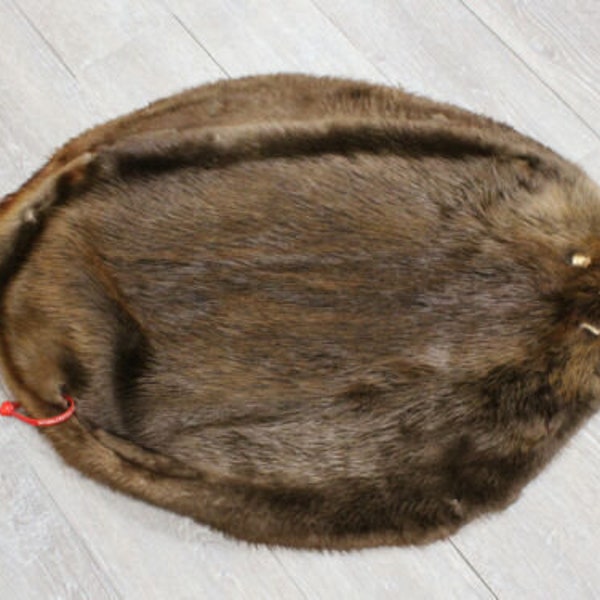 Beaver Pelt - Etsy