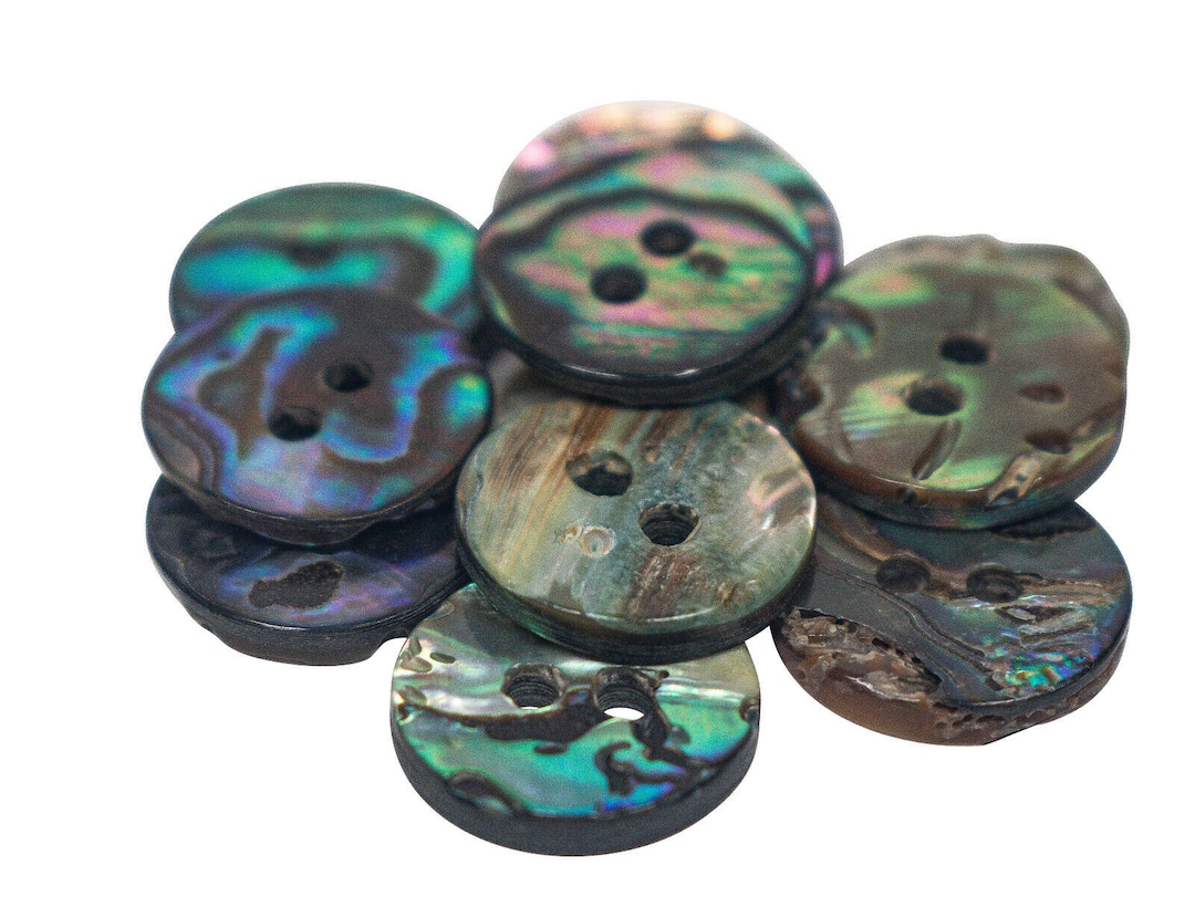Twelve (12) Paua Abalone Shell Buttons: 20L, 0.5", 12.5mm (1393-20L-12 ...