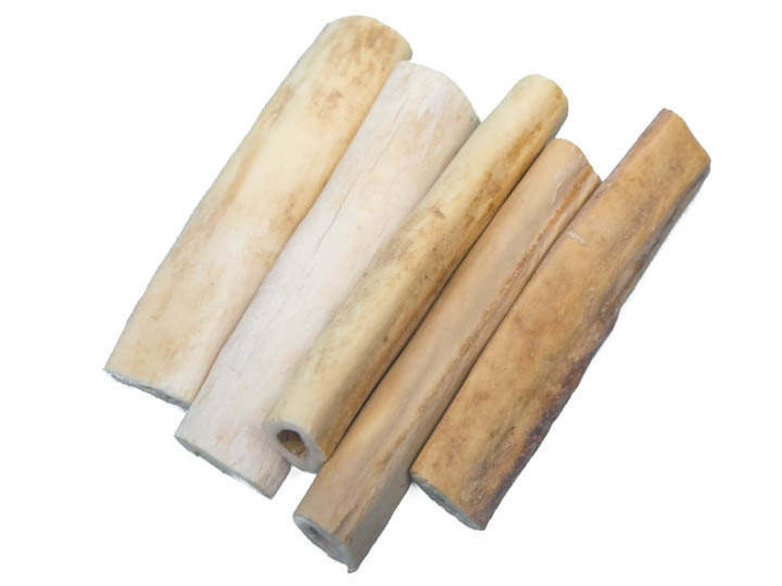 10 ten 2 Coyote Bone Hairpipe Pieces 125-CB-20 P15 | Etsy