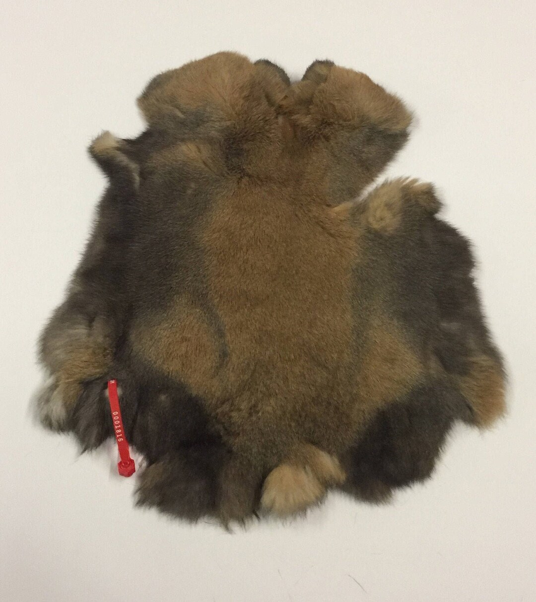 Rabbit Pelt Czech Large: Natural Multi Color (140-HVN-A-G1816) - Etsy