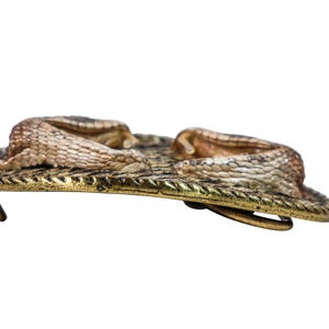 Real Rattlesnake Belt Buckle:dueling Heads in Oval (598-BB402) Y2L - Etsy