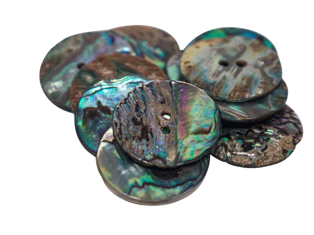 Twelve (12) Paua Abalone Shell Buttons: 40L, 1", 25mm (1393-40L-12) - Etsy