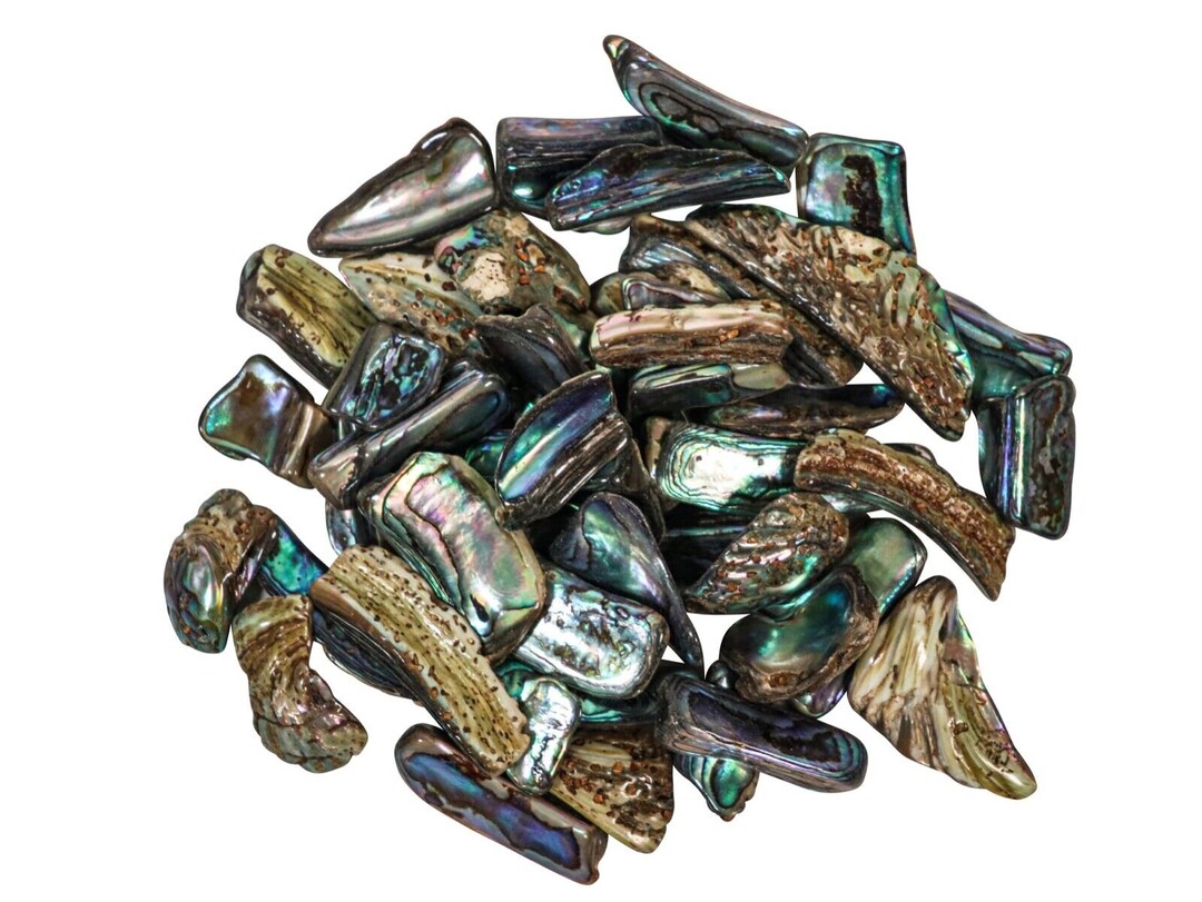 Highly Polished Paua Abalone Shells: Nuggets 20-50mm 1/4-lb Bag (565 ...