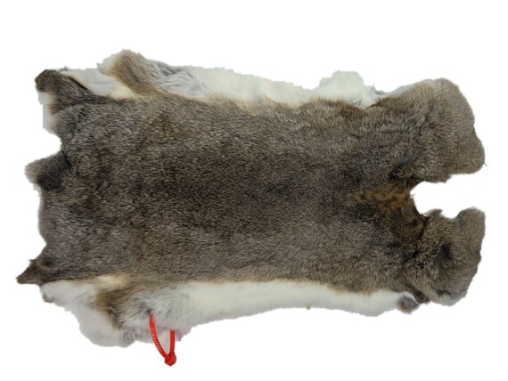 Hungarian Jumbo Rabbit Skin Bunny Brown First Grade | Etsy