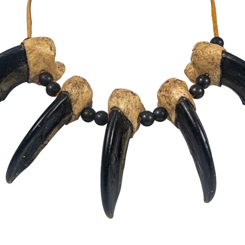 Bear Claw Necklace - Etsy