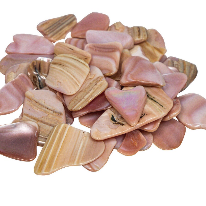 Mussel Shells - Etsy