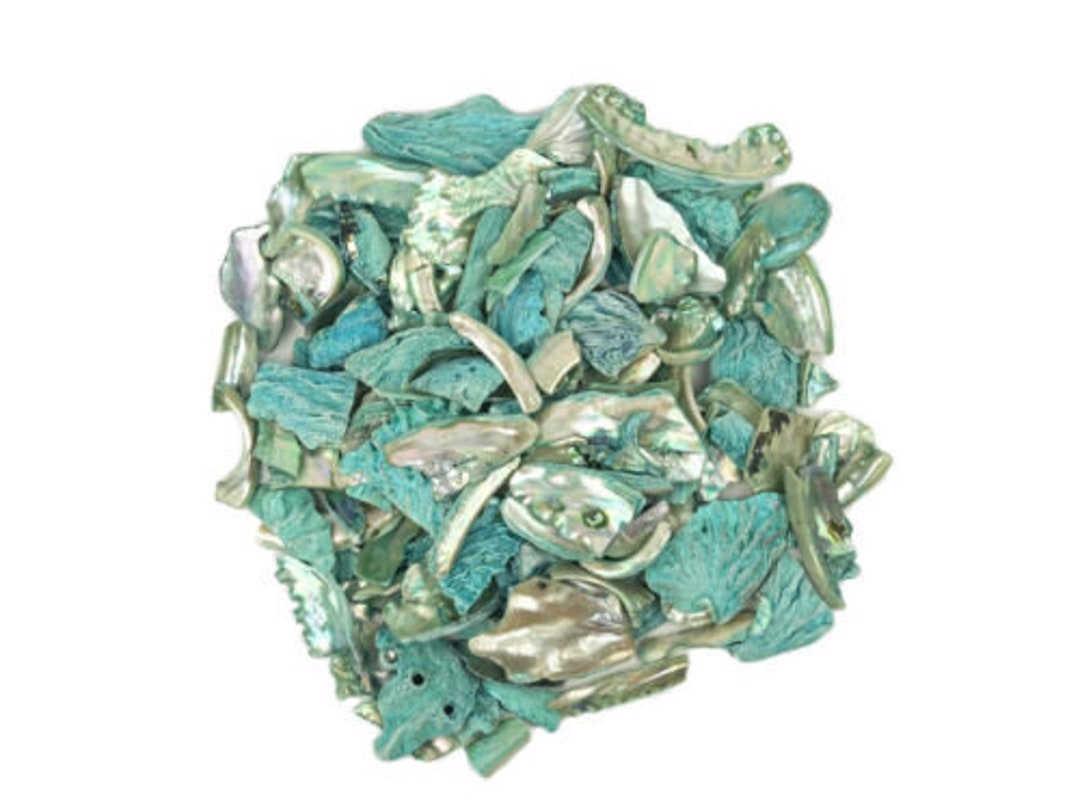 Turquoise Dyed African Abalone Pieces: Assorted Sizes. 1-kg Bag (2.2 ...