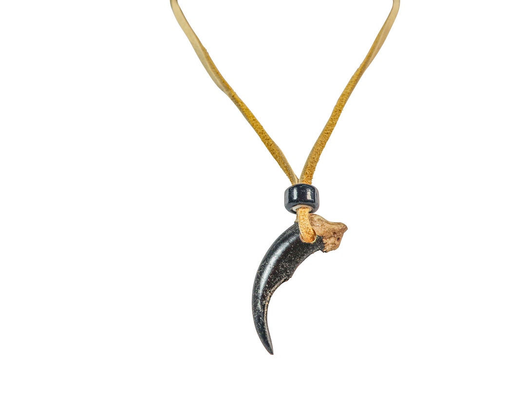 Native Assembled Realistic Wolf Claw Necklace: 1-claw (368-501-G4779 ...