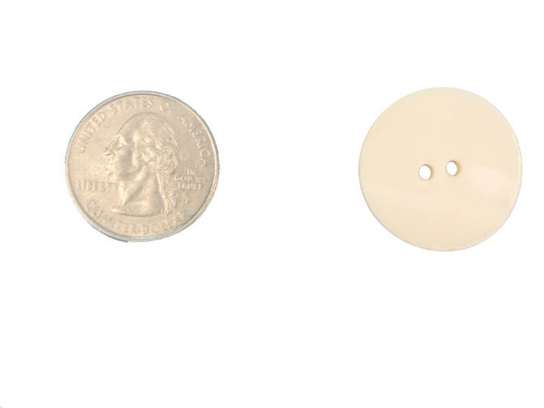 Clam Shell Button 1 in Various Lot Sizes 491-1.0 M3 | Etsy