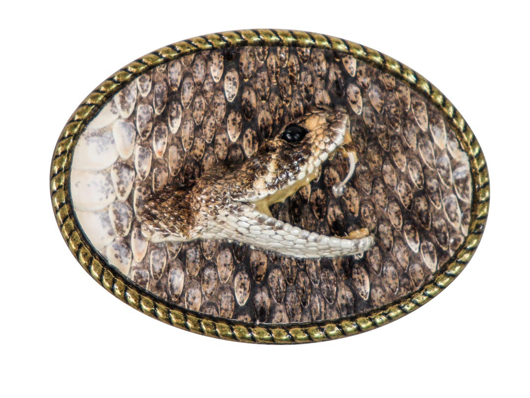 Real Rattlesnake Belt Buckle:1 Head in Oval (598-BB115) C4E - Etsy