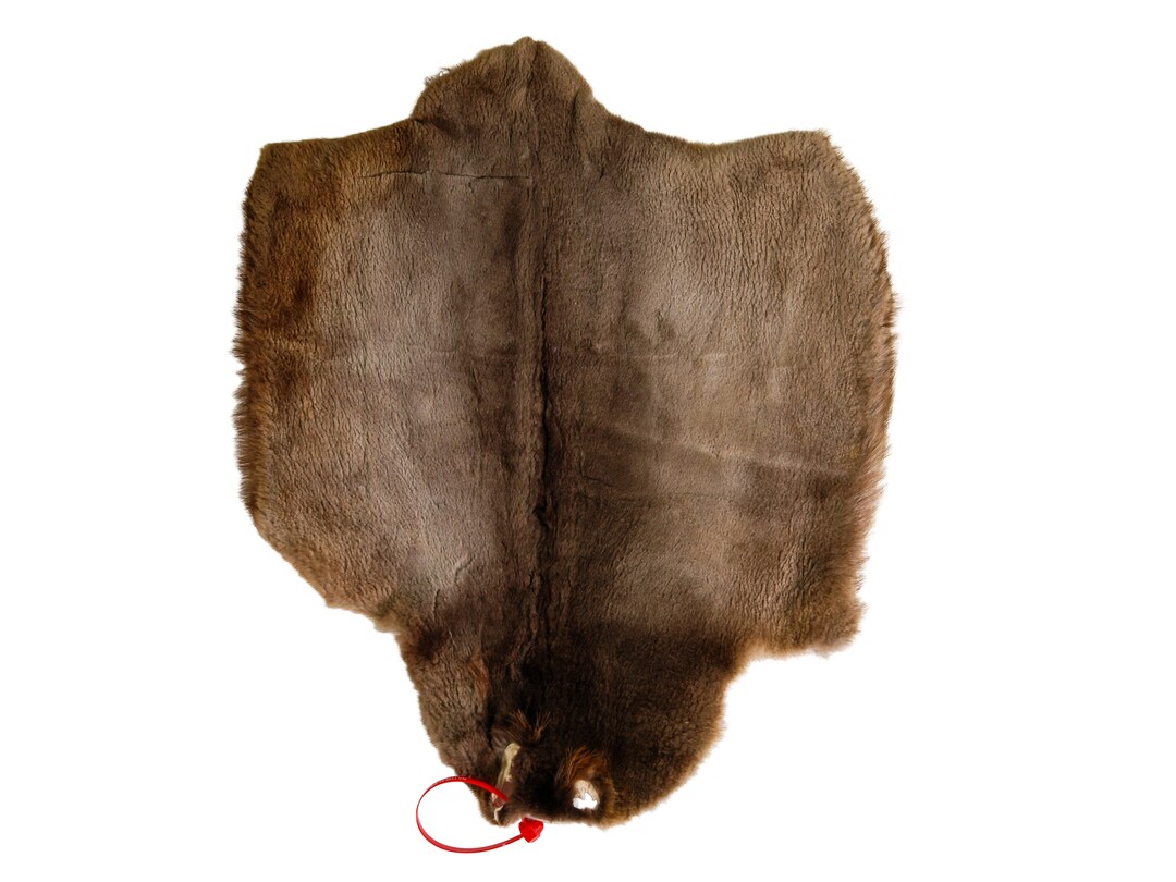 Sheared Beaver Skin (50-55-G6385) Y1E - Etsy