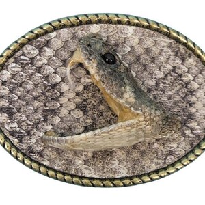Real Rattlesnake Belt Buckle:1 Head in Oval 598-BB115 C4E - Etsy