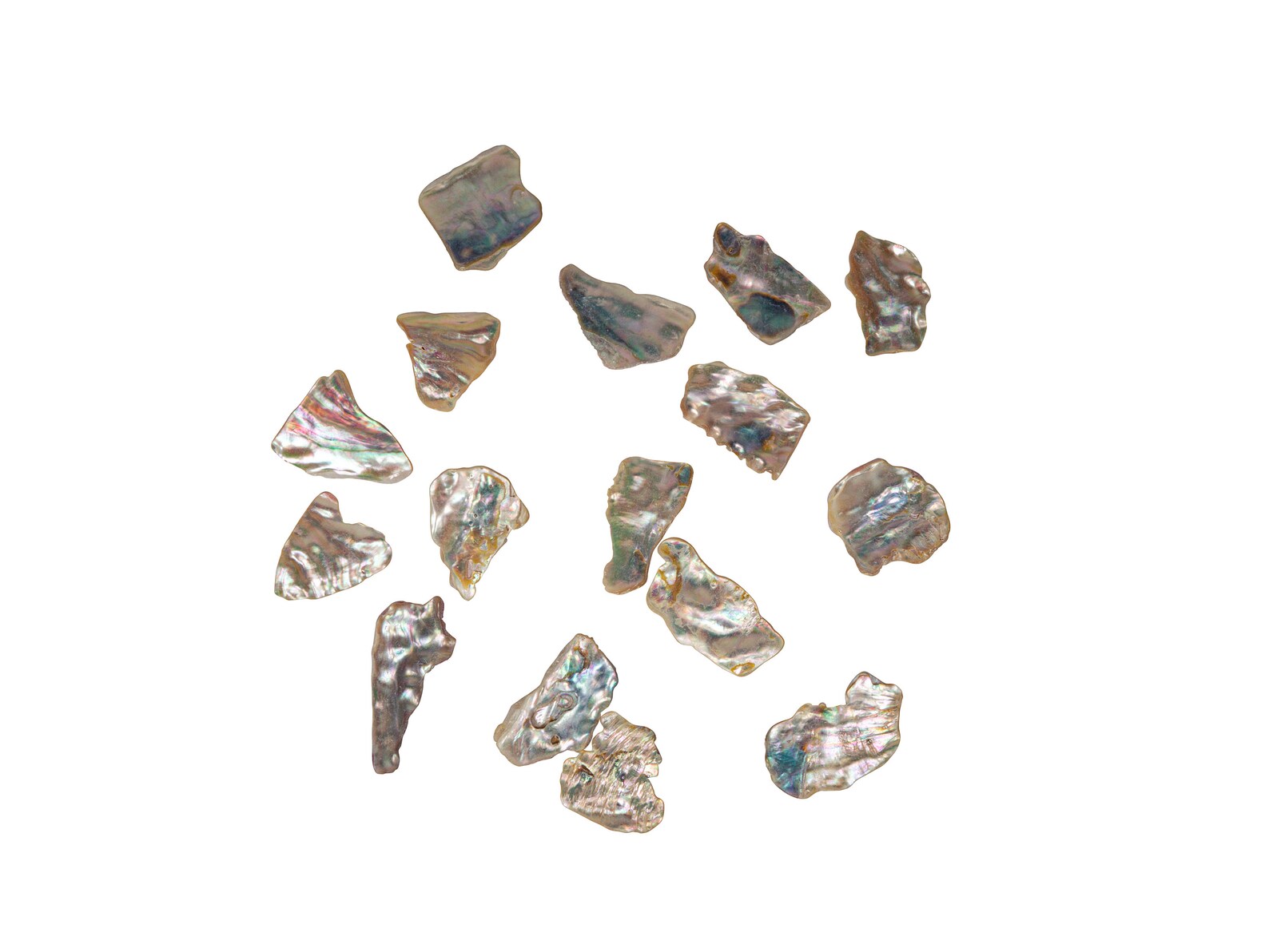 Creamy White African Abalone Shell Pieces: 25mm Size. 1-kg Bag - Etsy