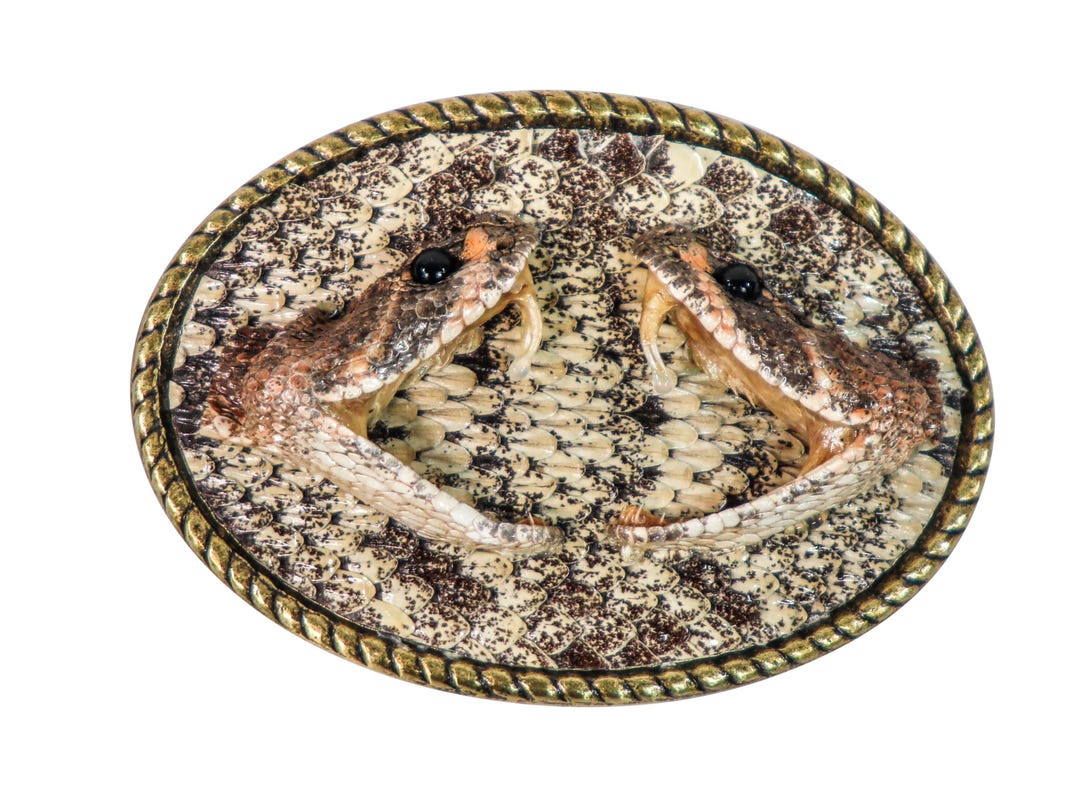 Real Rattlesnake Belt Buckle:dueling Heads in Oval (598-BB402) Y2L - Etsy