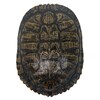 5 to 8 Real Snapping Turtle Shell With Plastron 229-WP-0508 Y3K - Etsy