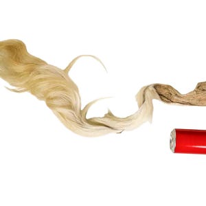 Long USA Bovine Cow Tail - Professionally Tanned, Soft and Flexible for ...