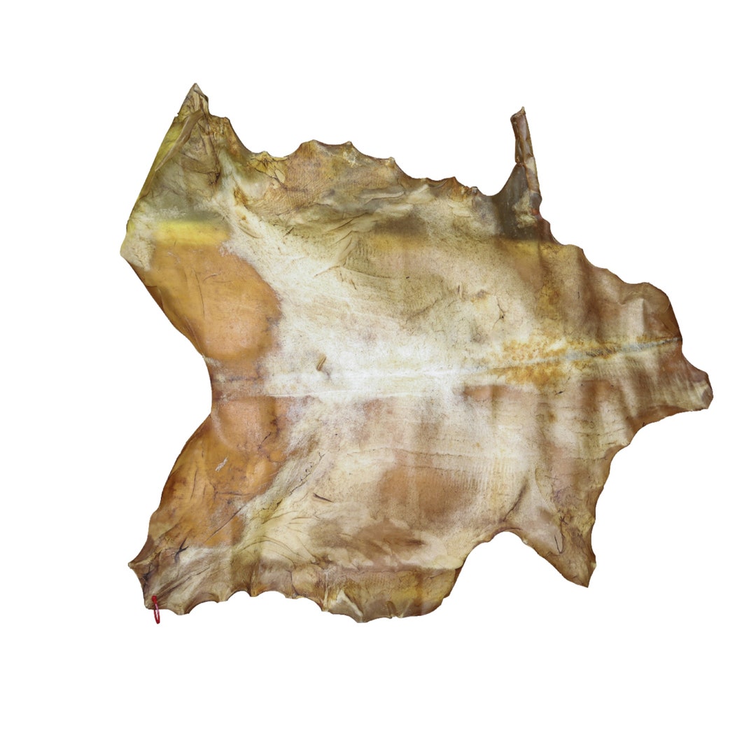Horse Rawhide Full Hide (55-90-R-G8508) Y2J - Etsy