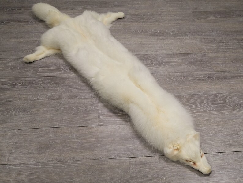 Extra-large Fashion Quality White Shadow Fox / Polar Fox Skin | Etsy