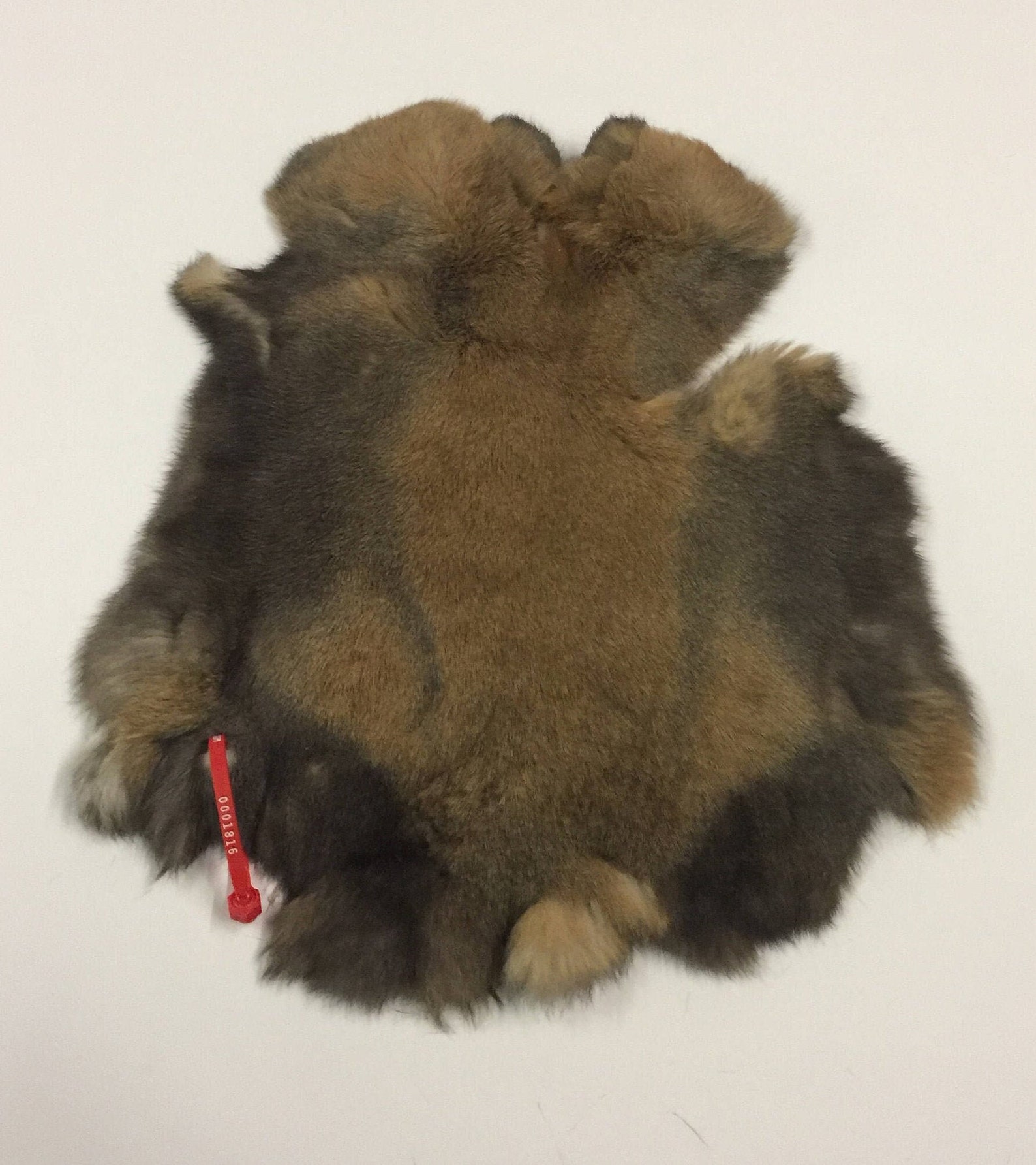 Rabbit Pelt Czech Large: Natural Multi Color 140-HVN-A-G1816 - Etsy