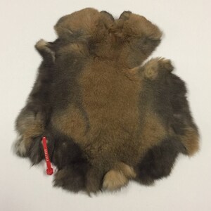 Rabbit Pelt Czech Large: Natural Multi Color 140-HVN-A-G1816 - Etsy