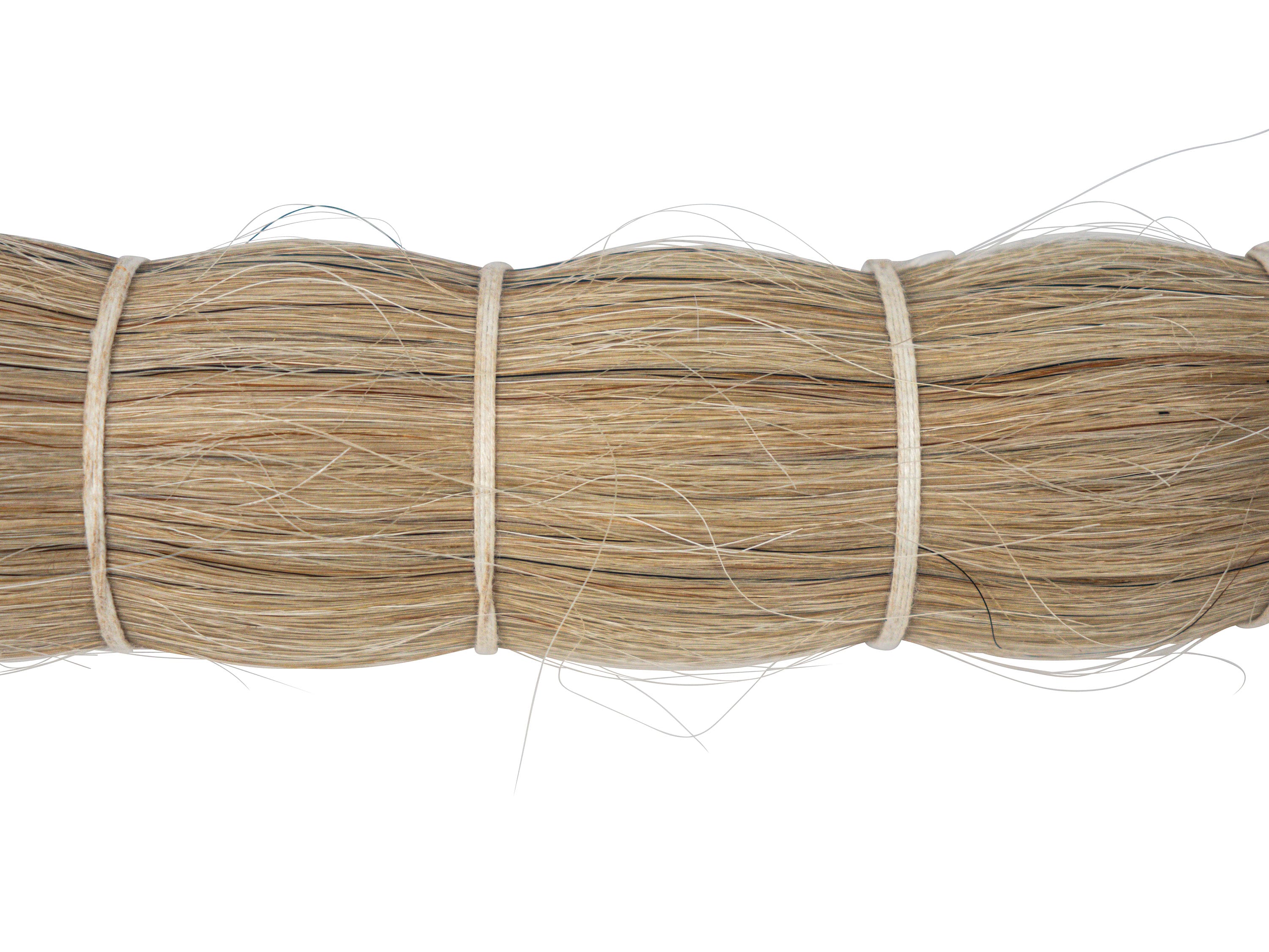20" Single Drawn Blonde Horse Hair (702M-BL-G1167) - Etsy