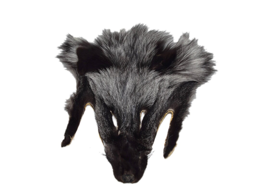 First Quality Silver Fox Face 19-04-07 L25 - Etsy