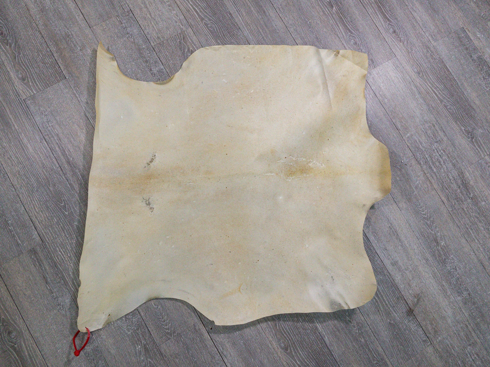 Extra Extra Large Bleached Goat Rawhide Skin: Gallery Item - Etsy