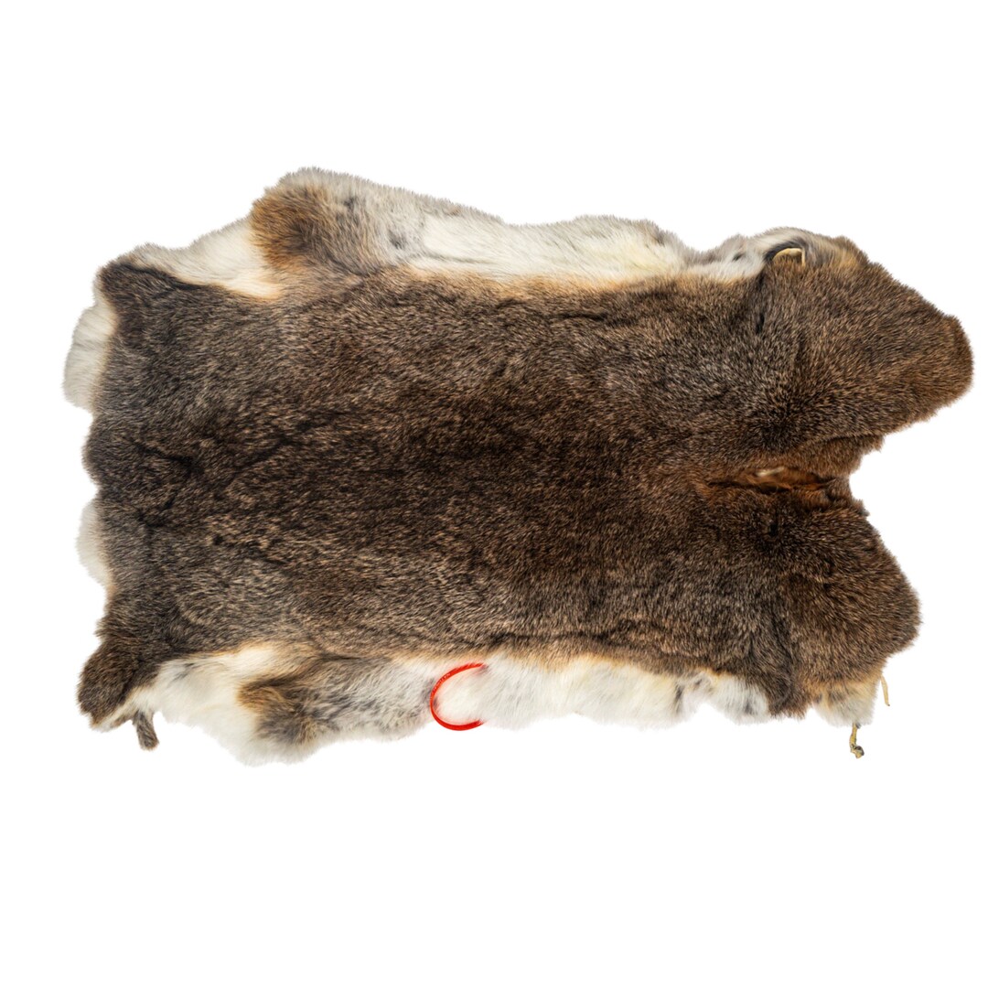 Hungarian Jumbo Rabbit Skin Bunny Brown: First Grade 283-1-HUNBBJ-G2497 ...