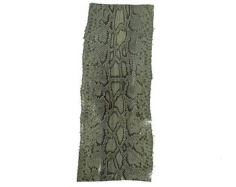 Burmese Python Skin - Etsy
