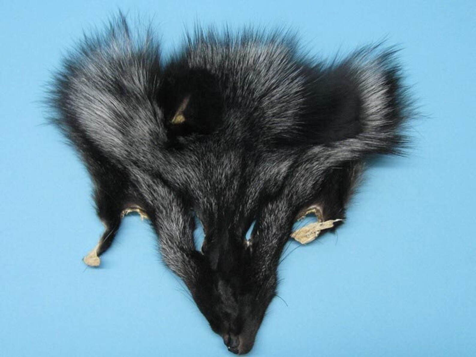 Authentic Silver Fox Halloween Face Mask 17-MASK-07 B2 - Etsy