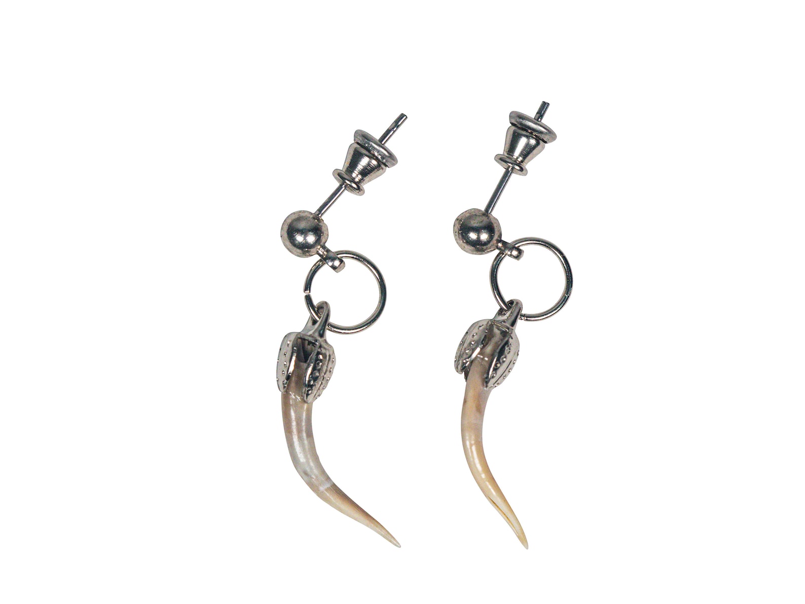 Real Rattlesnake Fang Earrings Pair: Silver Color 598-J21-P - Etsy