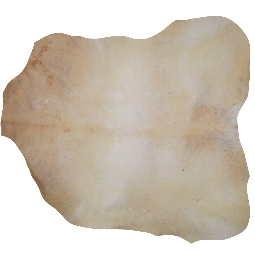 Large Bleached Goat Rawhide Skin (55-50LB-G6374) Y2J - Etsy