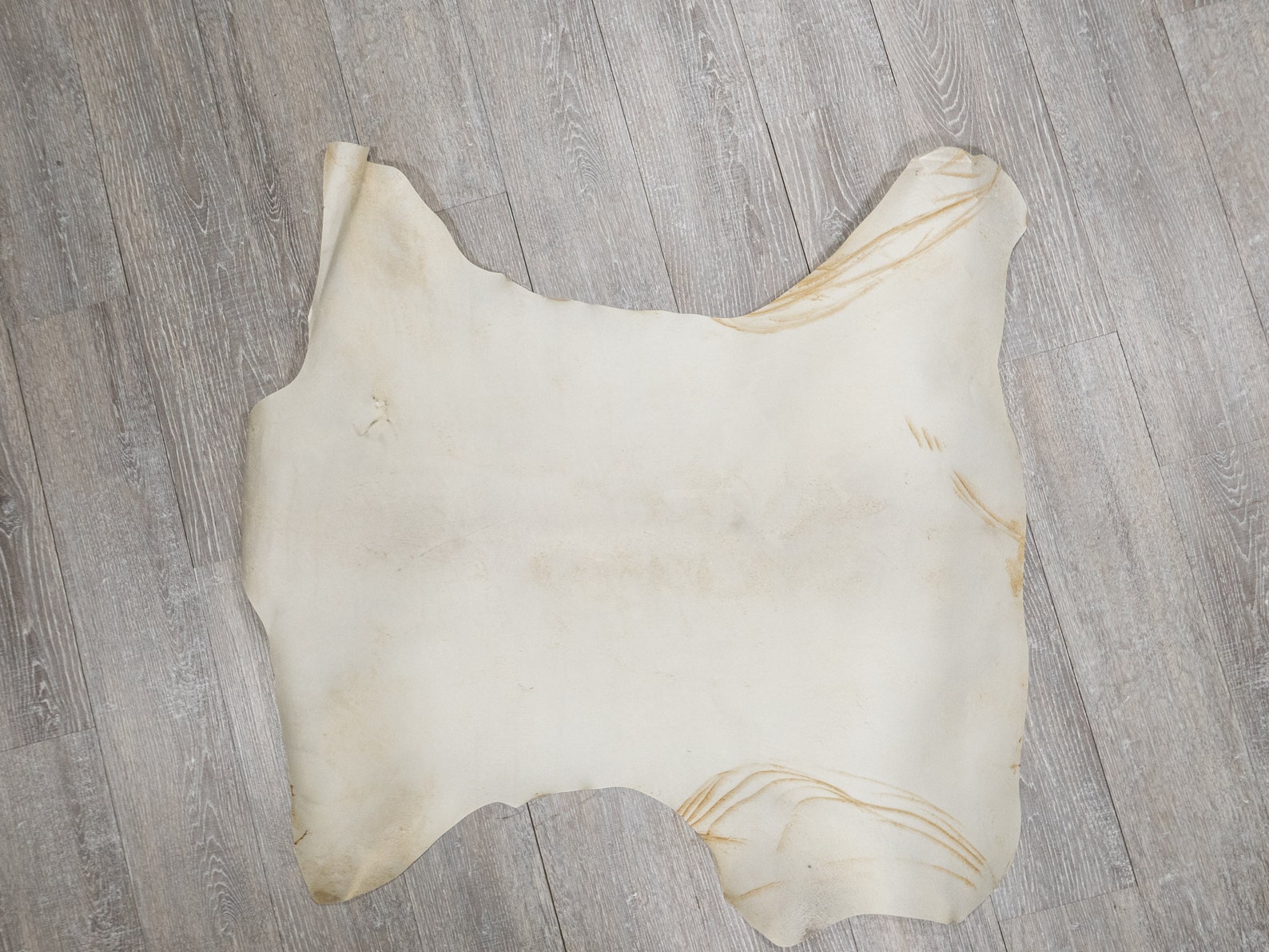 Extra-large Bleached Goat Rawhide Skin 55-50XB-AS L8 - Etsy