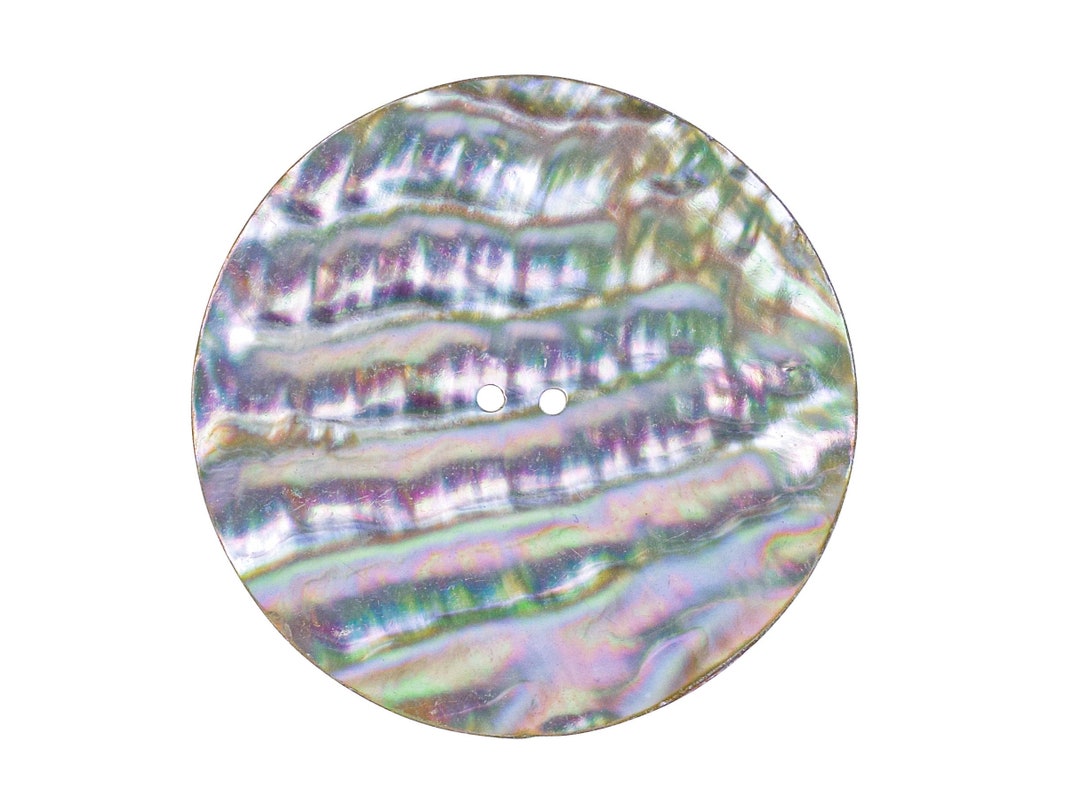 One (1) Australian Abalone Button: 120-line 76.2mm (3") (495-120L) - Etsy