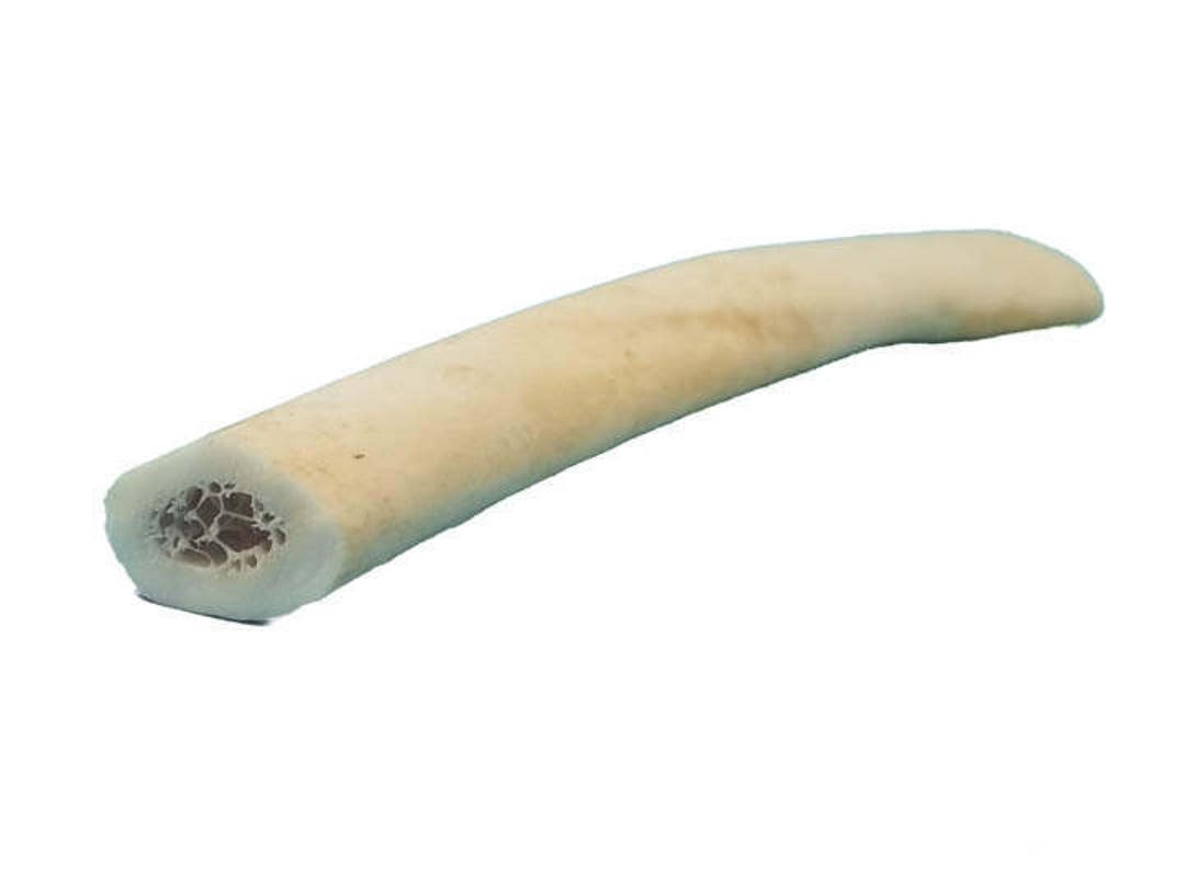 100 (one Hundred) 4" Coyote Bone Hairpipe Pieces (125-CB-40) Y1X - Etsy