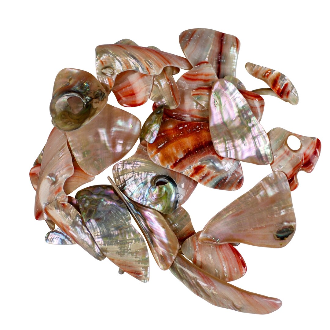 50 Grams Tumbled Mexican Red Abalone Shell Pieces: Highly Polished ...