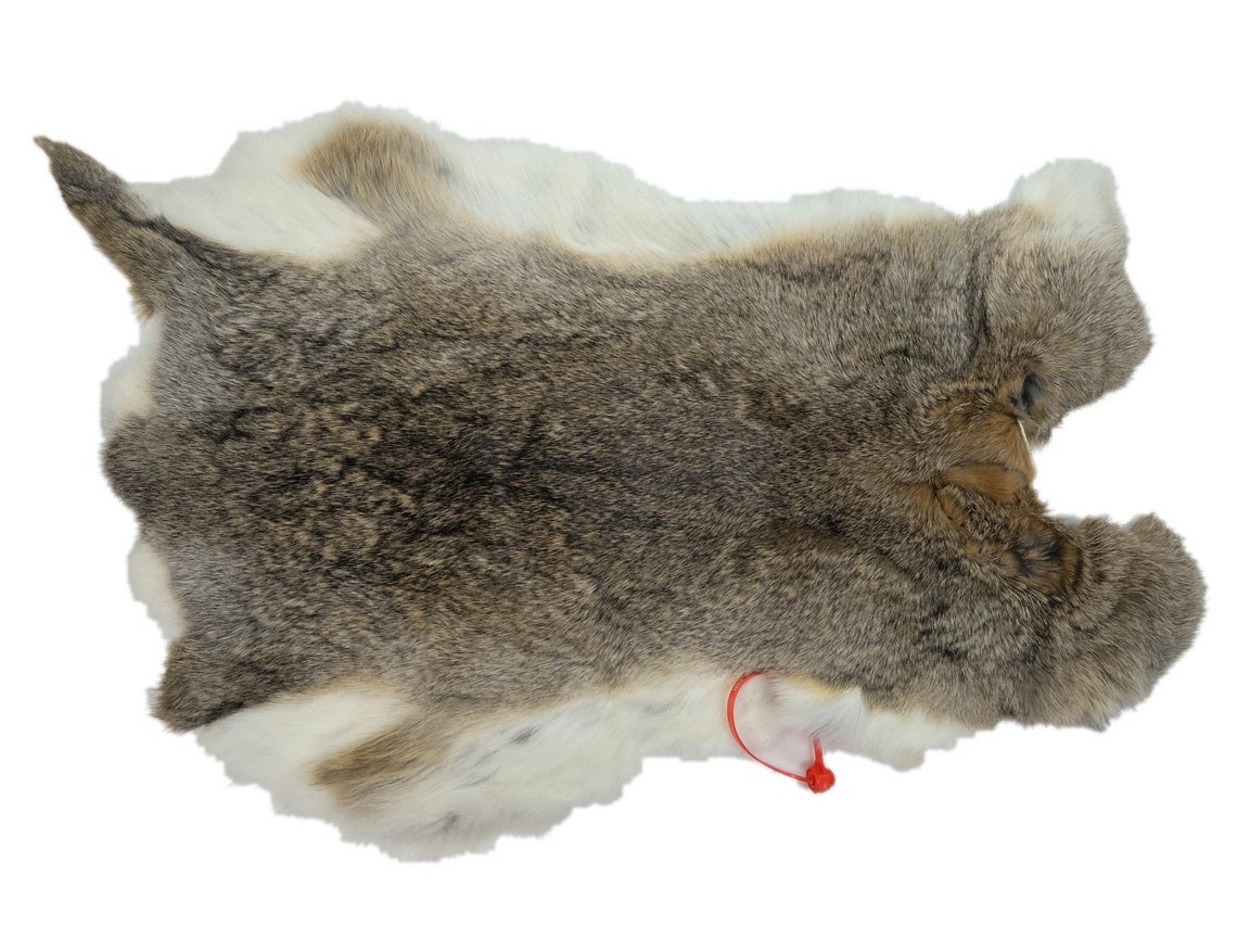 Hungarian Jumbo Rabbit Skin Bunny Brown First Grade - Etsy