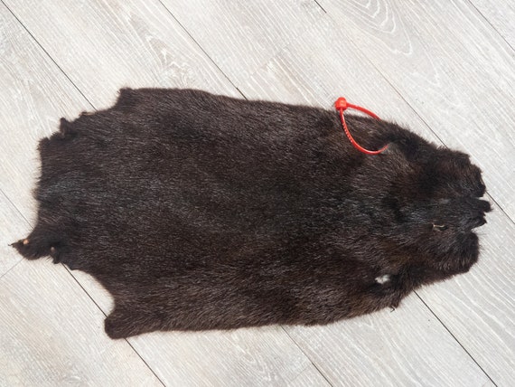 Dyed Nutria Coypu River Rat Skin 31-G4654 9UZ - Etsy